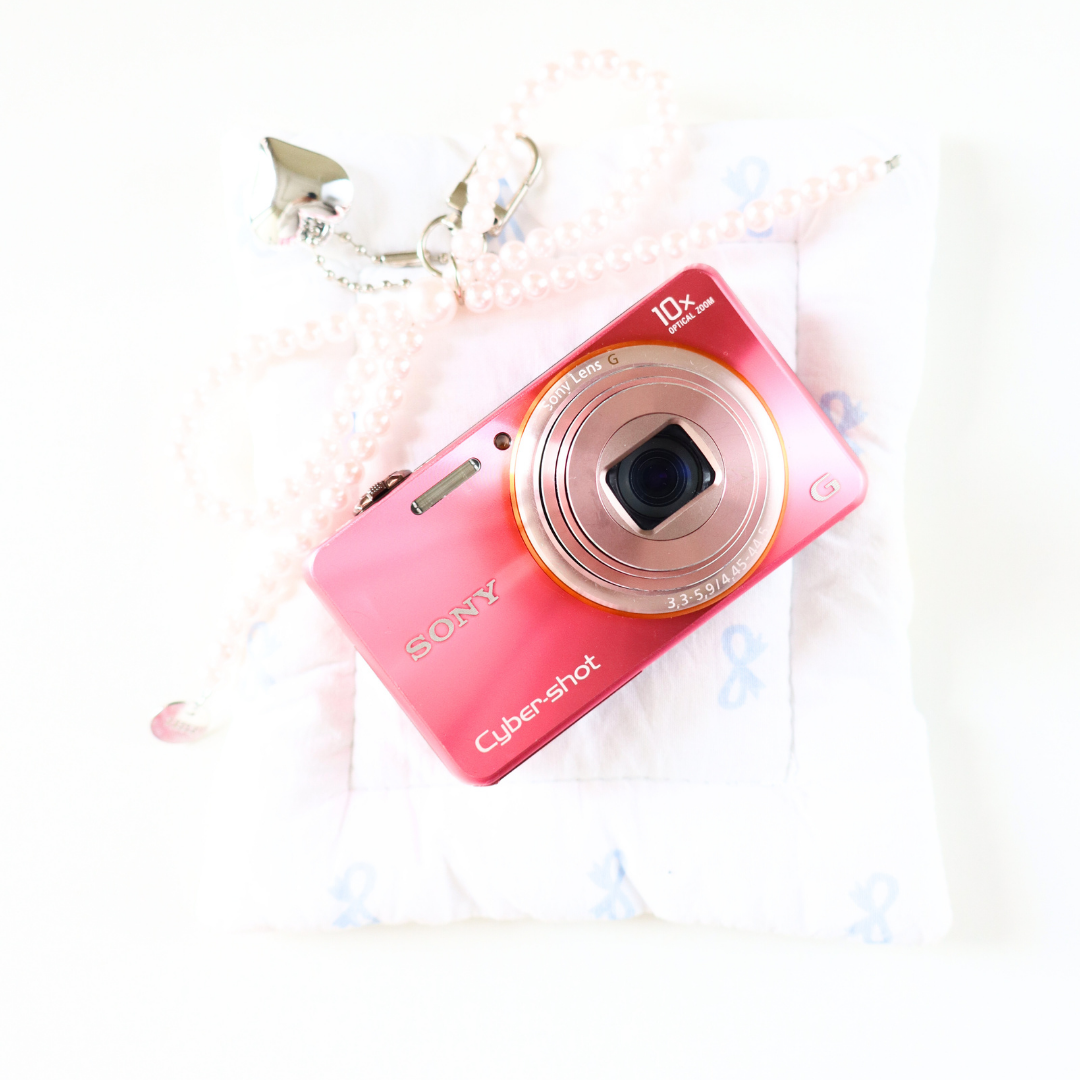 Sony Cybershot WX100 (rare pink) – GIBBY SNAPS